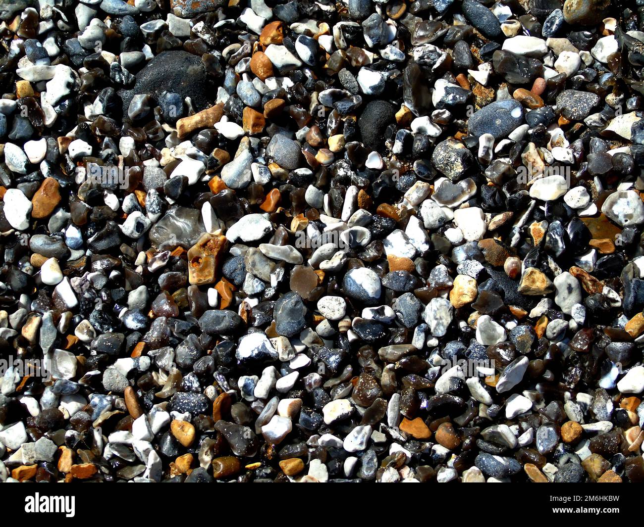 A top view of cute colorful wet pebbles on the beach Stock Photo - Alamy