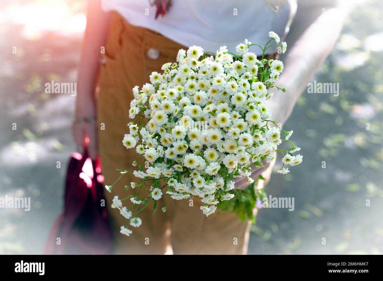 bouquet of white flowers in hand. Summer Stock Photo - Alamy