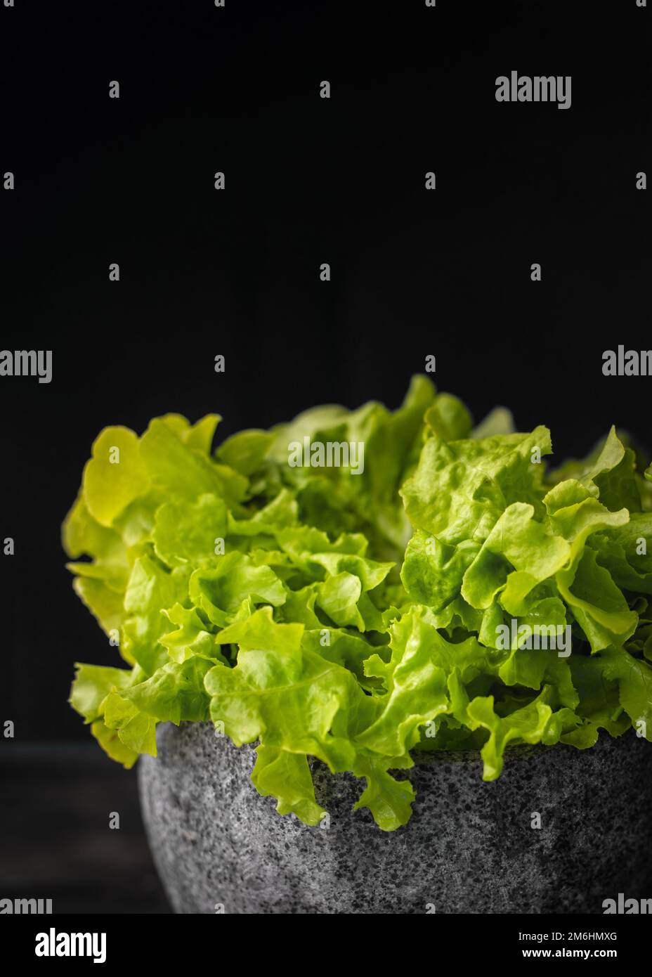 Batavia green lettuce isolated on black background Stock Photo - Alamy