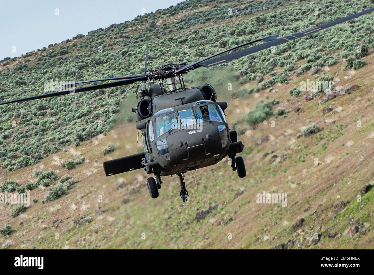 Tyler king hi-res stock photography and images - Alamy