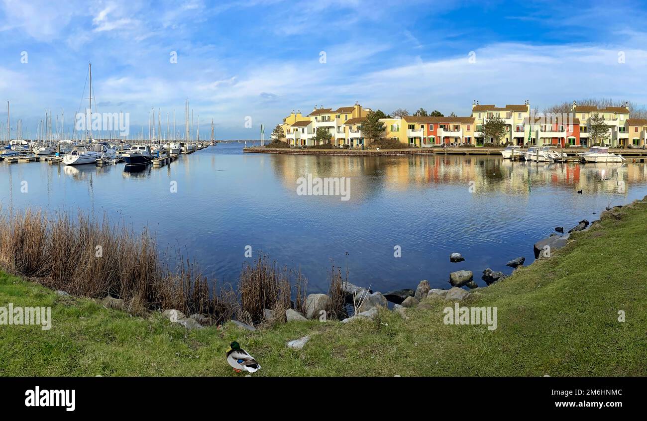 Apartments at a sea harbour in the sunset Stock Photo - Alamy