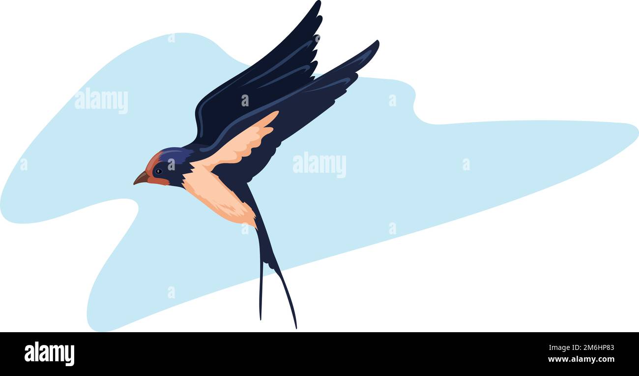 Flying bird in blue sky. Free wild swallow isolated on white background ...