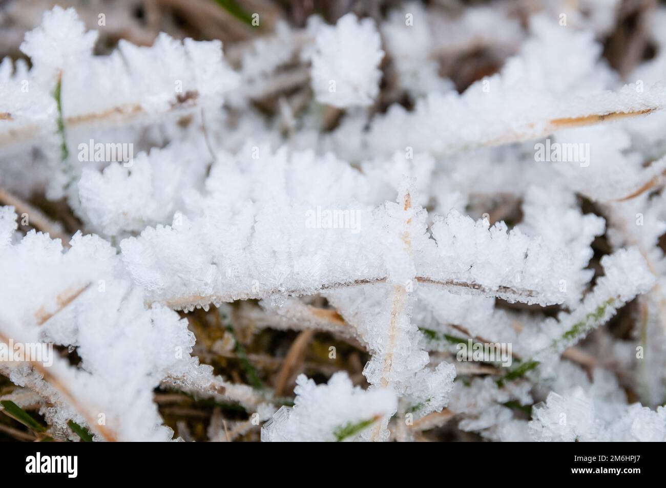 Frozen soil hi-res stock photography and images - Alamy