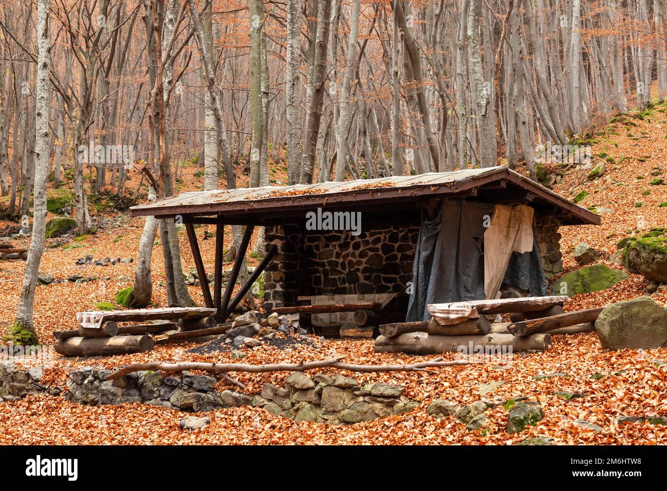 Empty picnic area in Vitosha Mountain near Sofia, Bulgaria Stock Photo ...