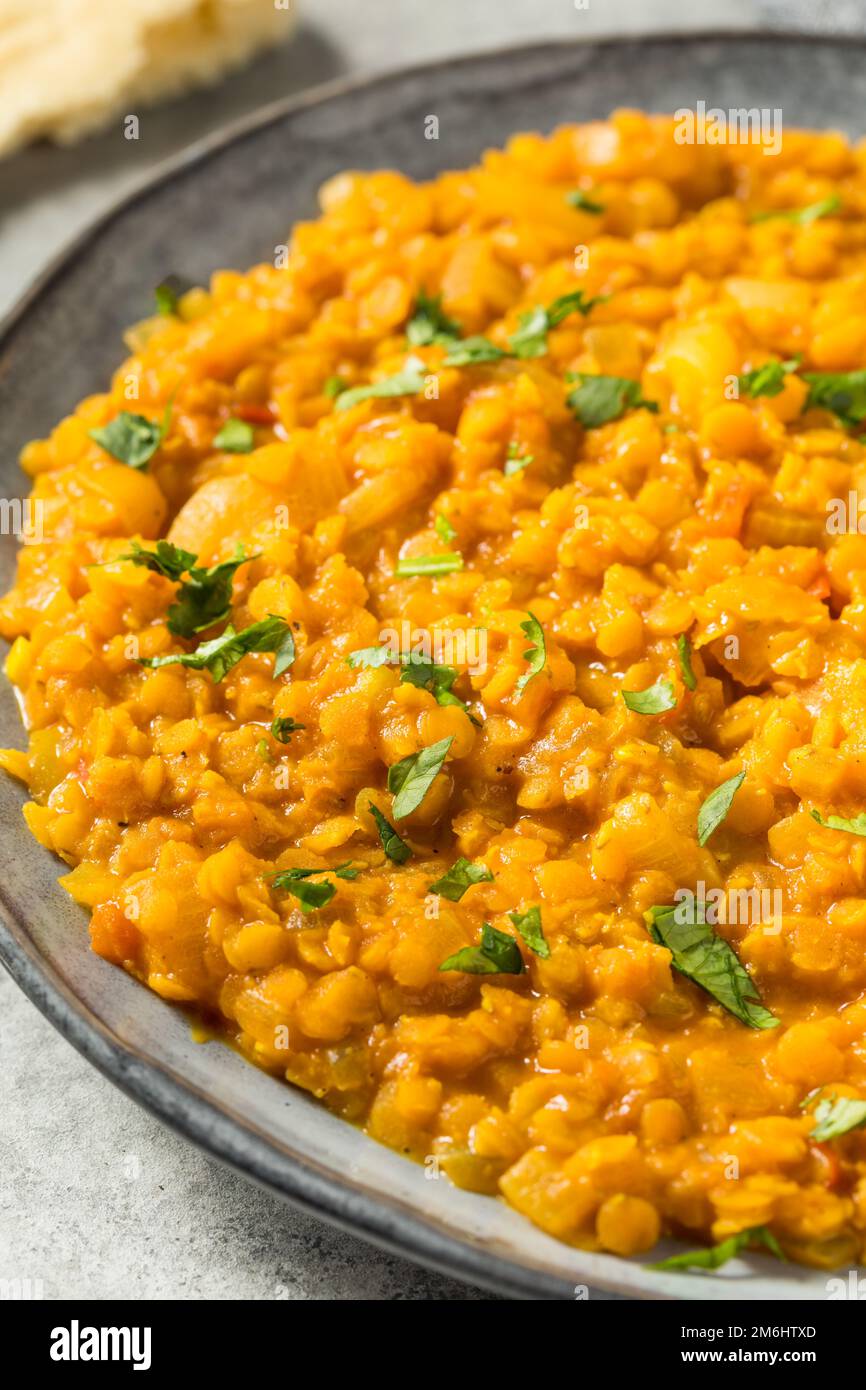 Homemade Lentil Dal with Rice and Cilantro Stock Photo - Alamy