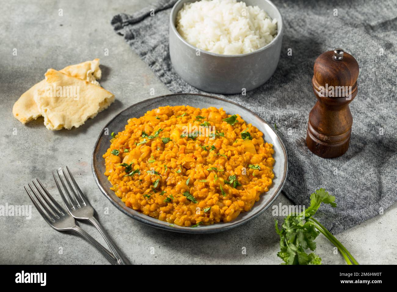 Homemade Lentil Dal with Rice and Cilantro Stock Photo - Alamy