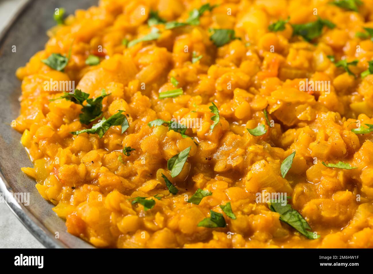 Homemade Lentil Dal with Rice and Cilantro Stock Photo - Alamy