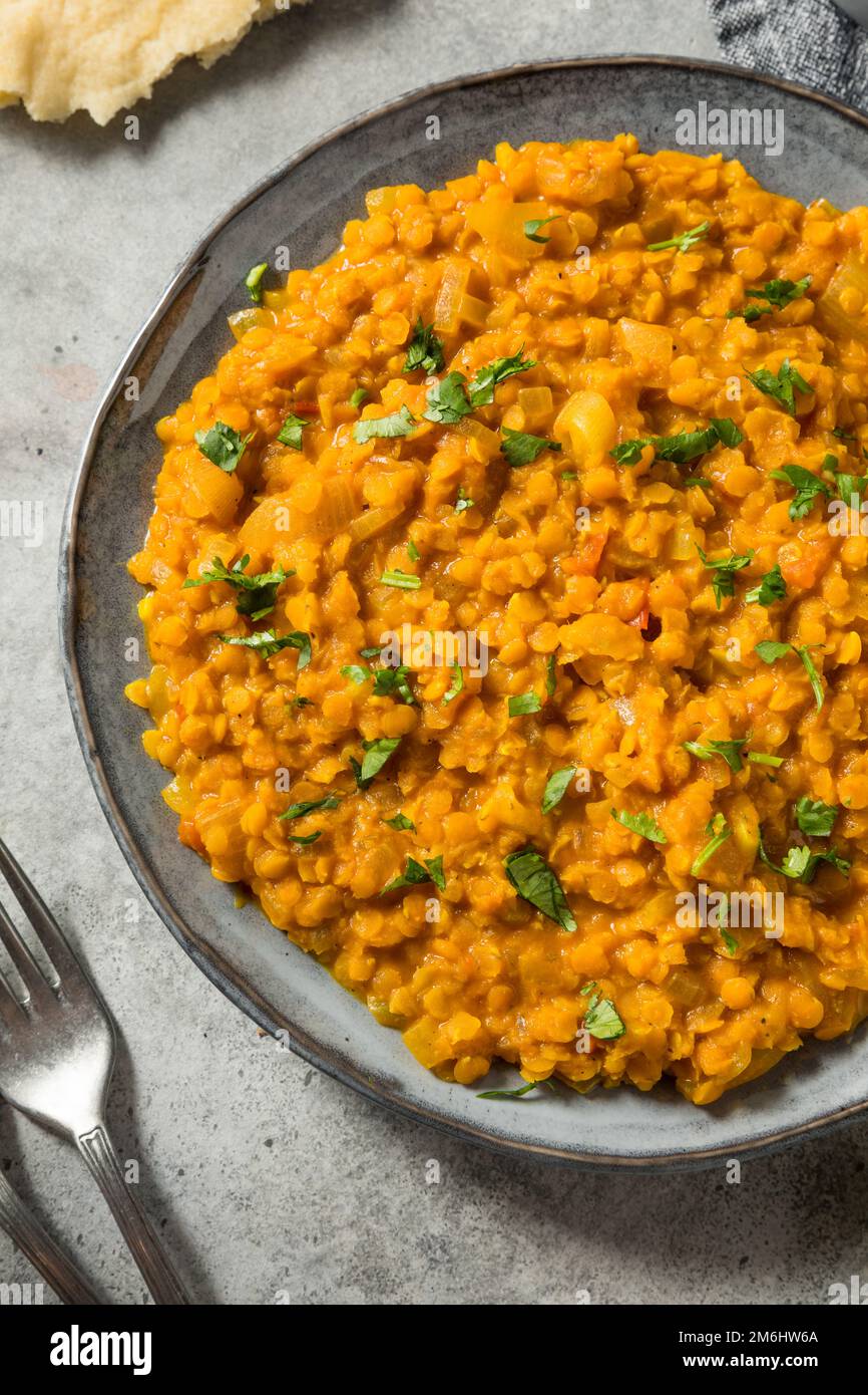 Homemade Lentil Dal with Rice and Cilantro Stock Photo - Alamy