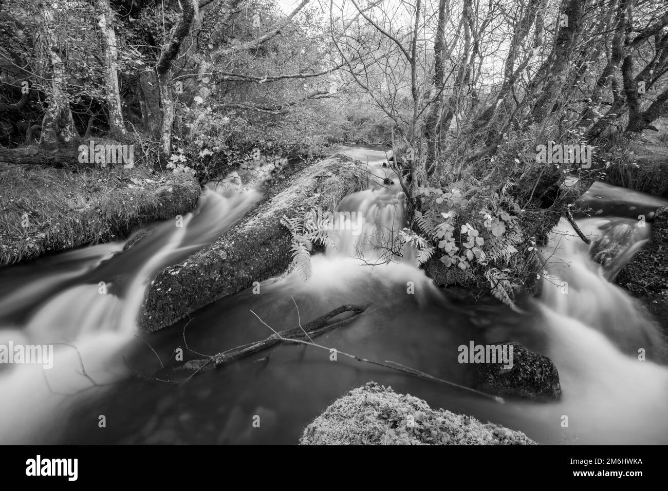 Stream on exmoor national Black and White Stock Photos & Images - Alamy