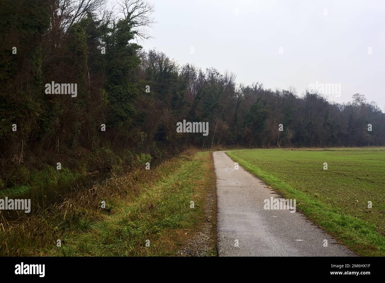 Asphalt trail bordered by a cultivated field and a forest next to a ...