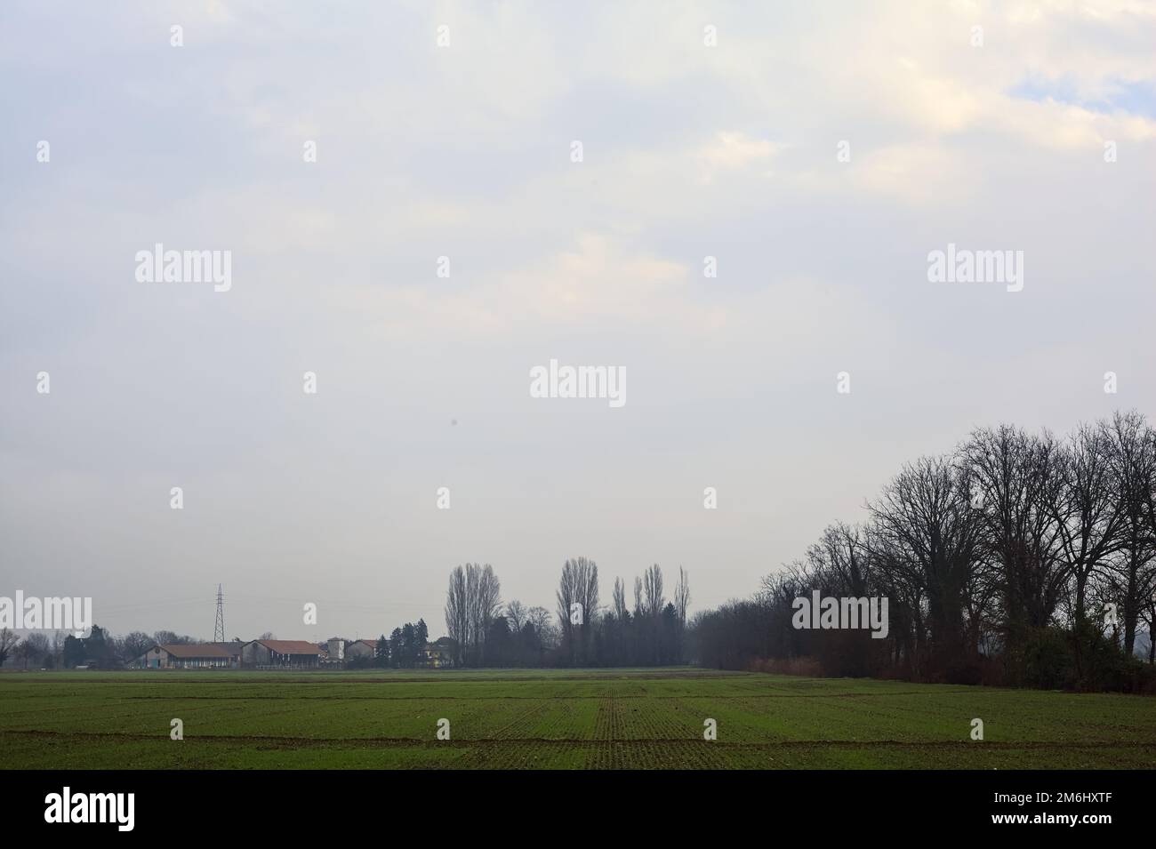 Farmhouse with trees in a cultivated field seen from the distance on a ...