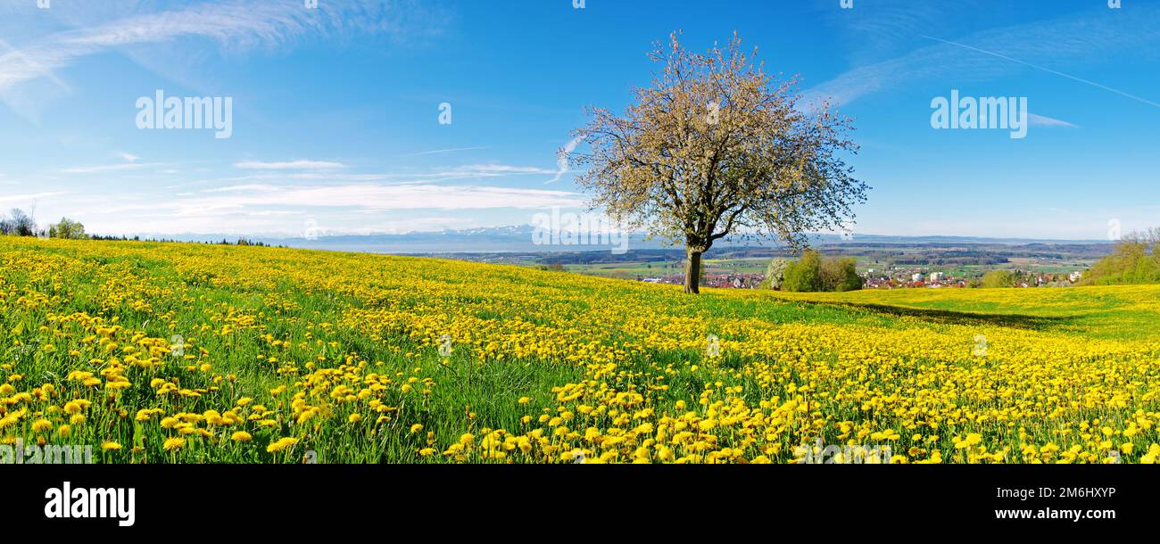 Spring meadow lake hi-res stock photography and images - Alamy