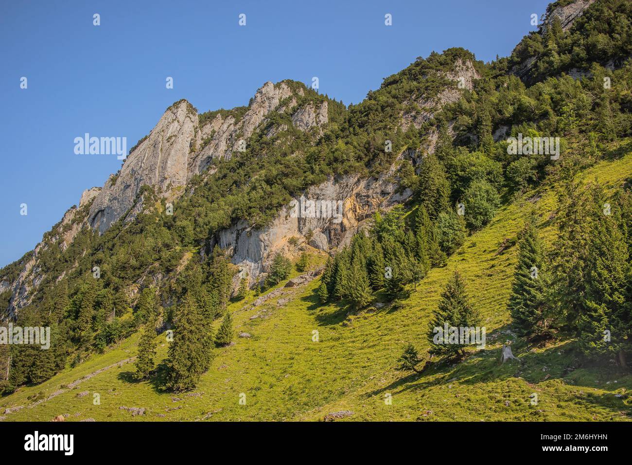 Ha hentour hi-res stock photography and images - Alamy