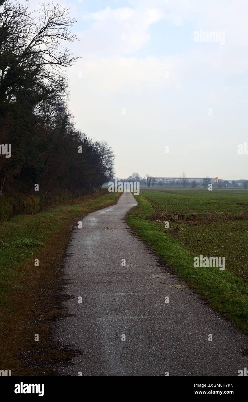 Asphalt trail bordered by a cultivated field and a forest next to a ...