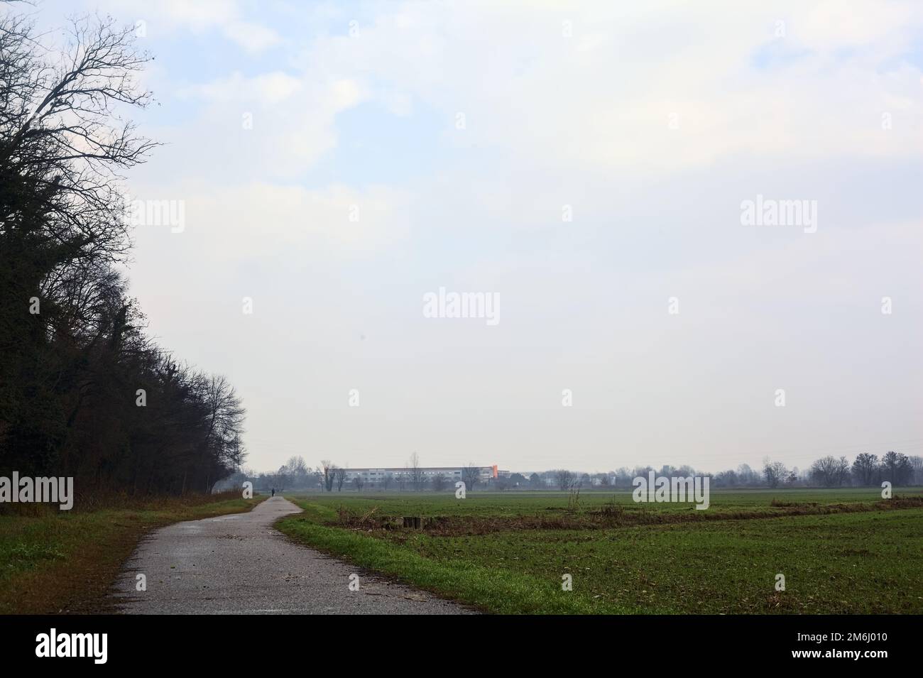 Asphalt trail bordered by a cultivated field and a forest next to a ...