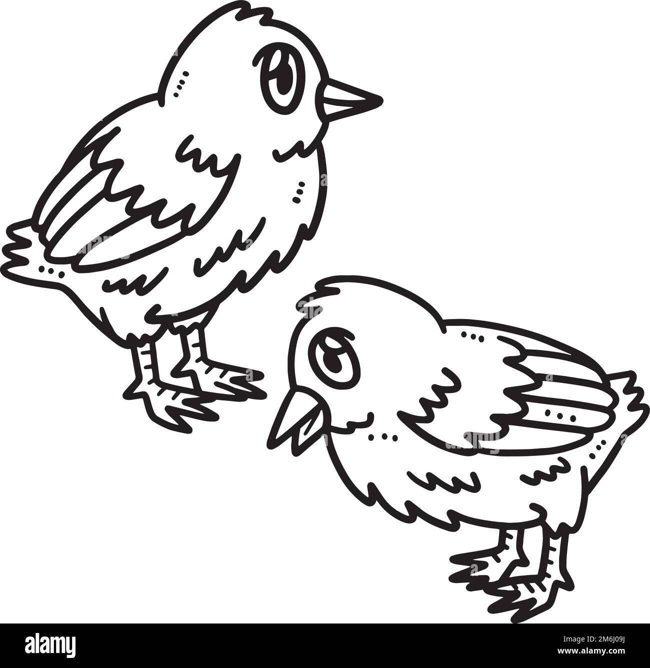 Baby Chicken Isolated Coloring Page for Kids Stock Vector Image & Art ...