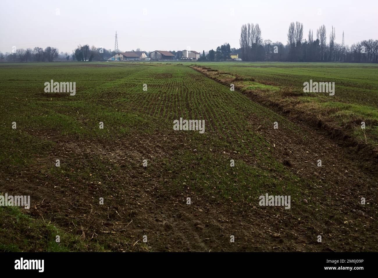 Farmhouse with trees in a cultivated field seen from the distance on a ...