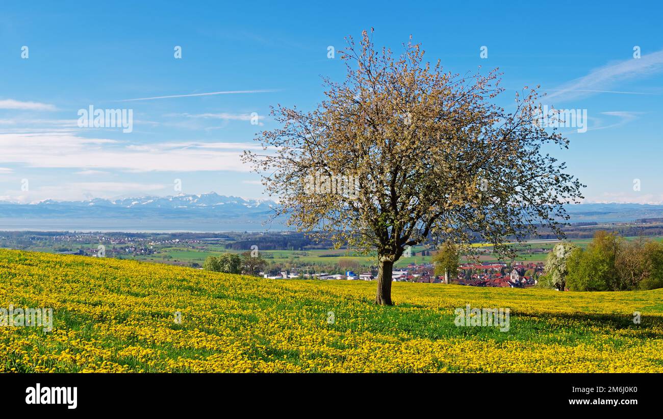 Sa dfa hn hi-res stock photography and images - Alamy