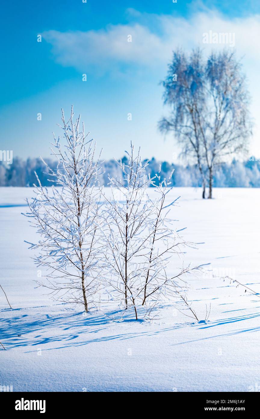 Frosty scenery landscape hi-res stock photography and images - Alamy