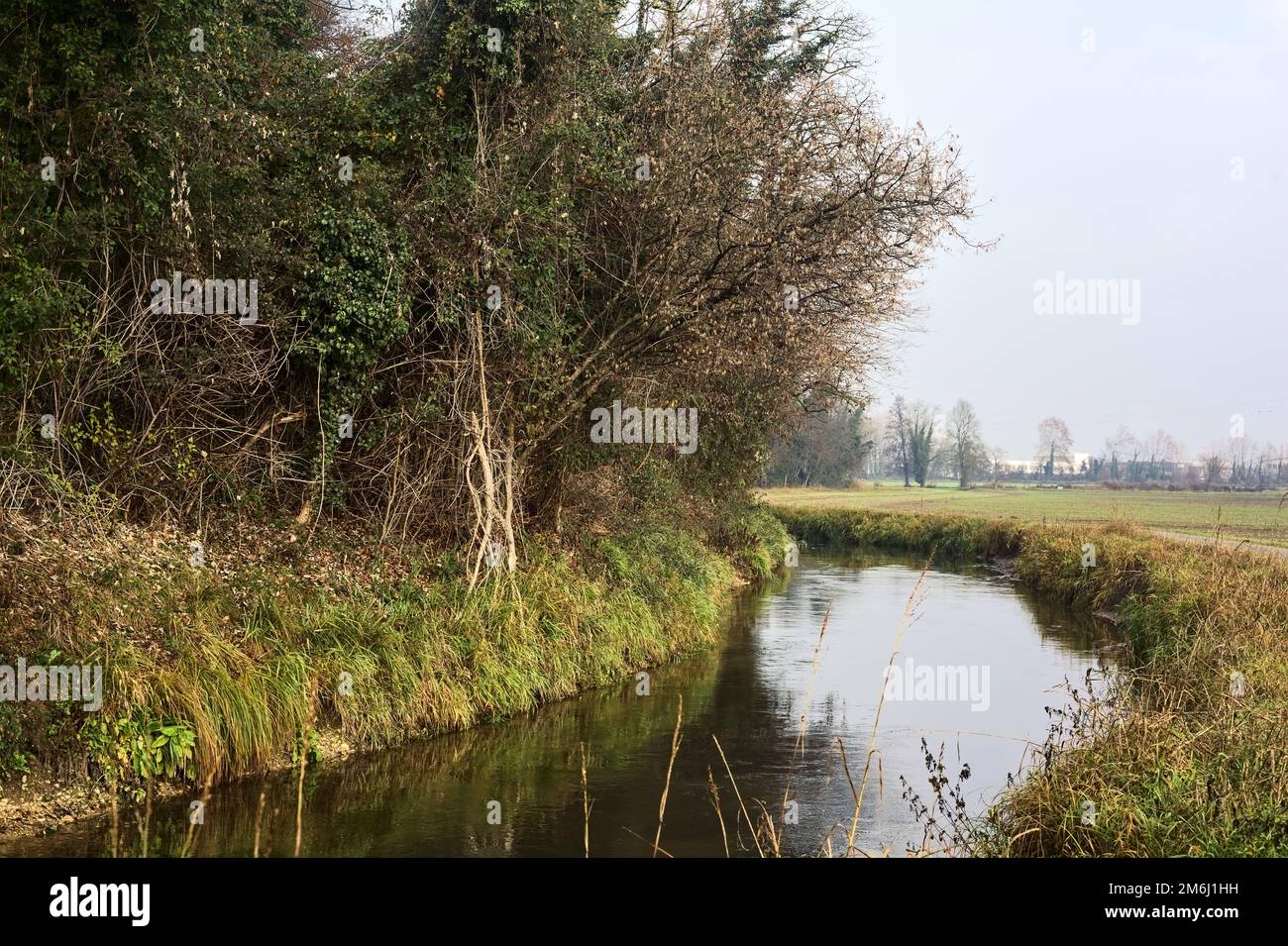 Stream of water that borders a forest next to a field on a cloudy day ...