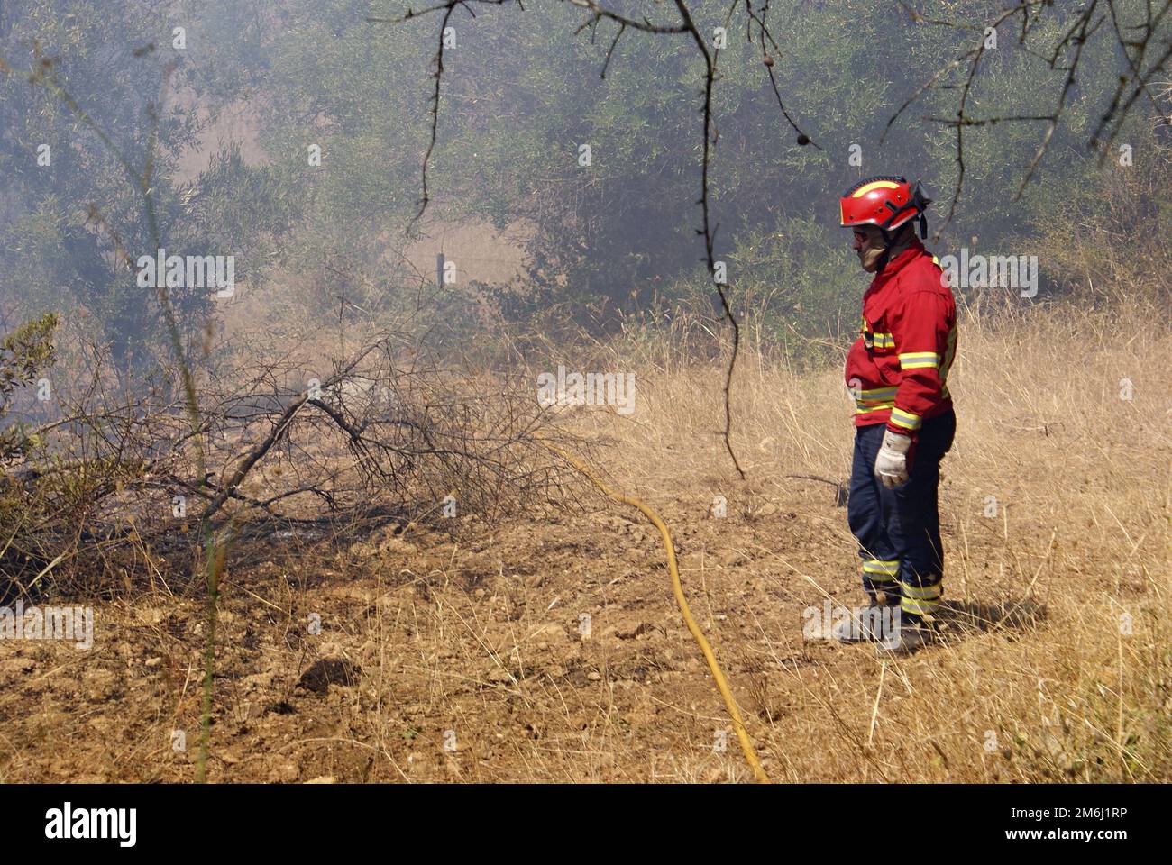 Firefighter examines a fire site Stock Photo - Alamy