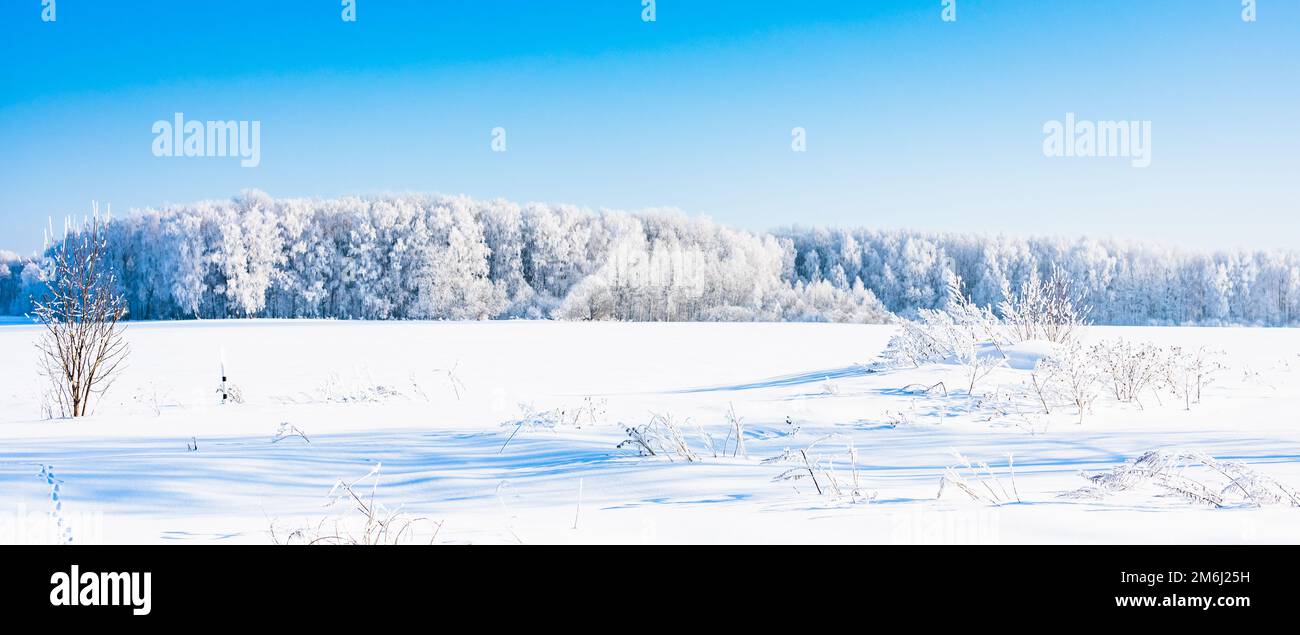 Frosty scenery landscape hi-res stock photography and images - Alamy