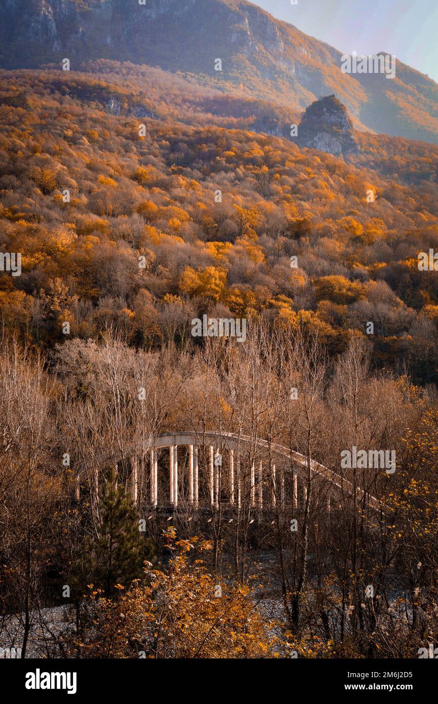 Railway bridge in beautiful autumn forest. Forest landscape in autumn ...