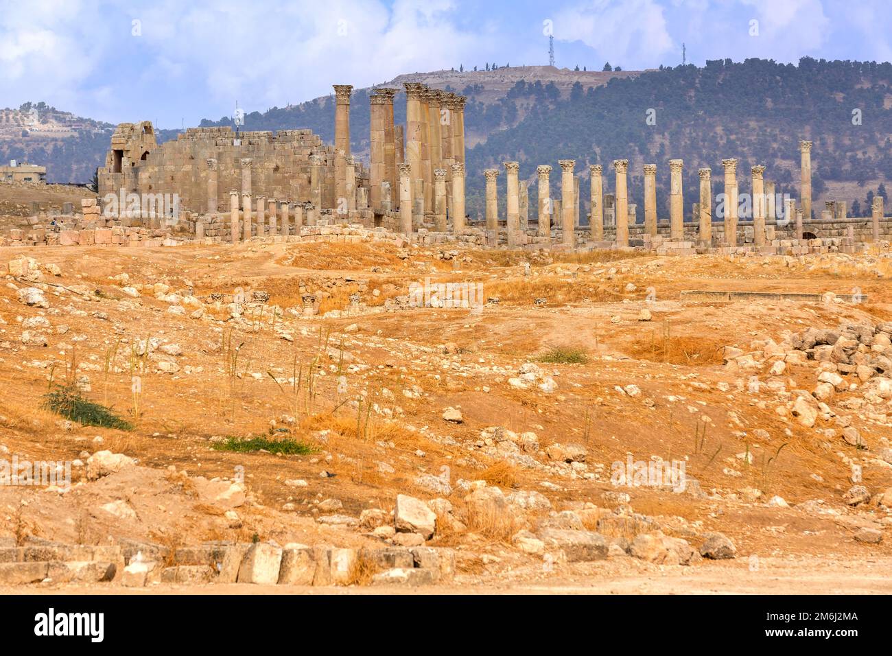 Jerash, Jordan Temple of Artemis in the ancient Roman city of Gerasa ...