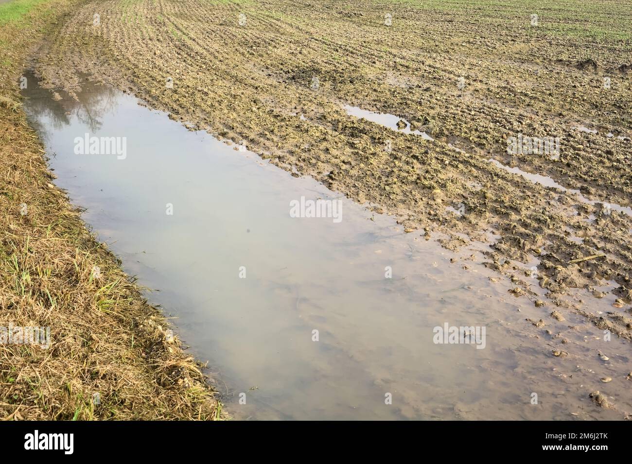 Puddle in a cultivated field seen up close Stock Photo - Alamy