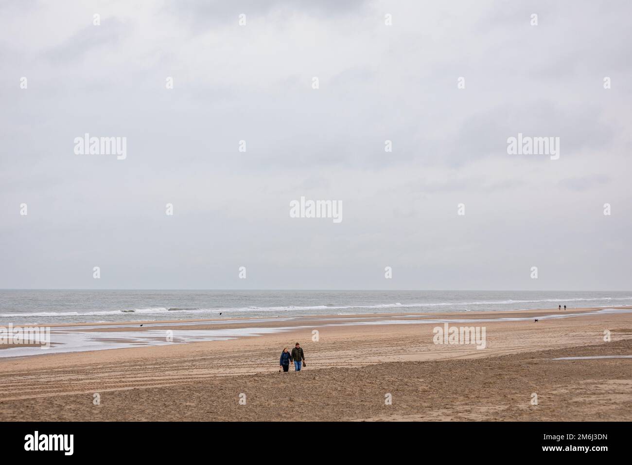 Two people walking at the beach in winter at Noordwijk aan Zee ...