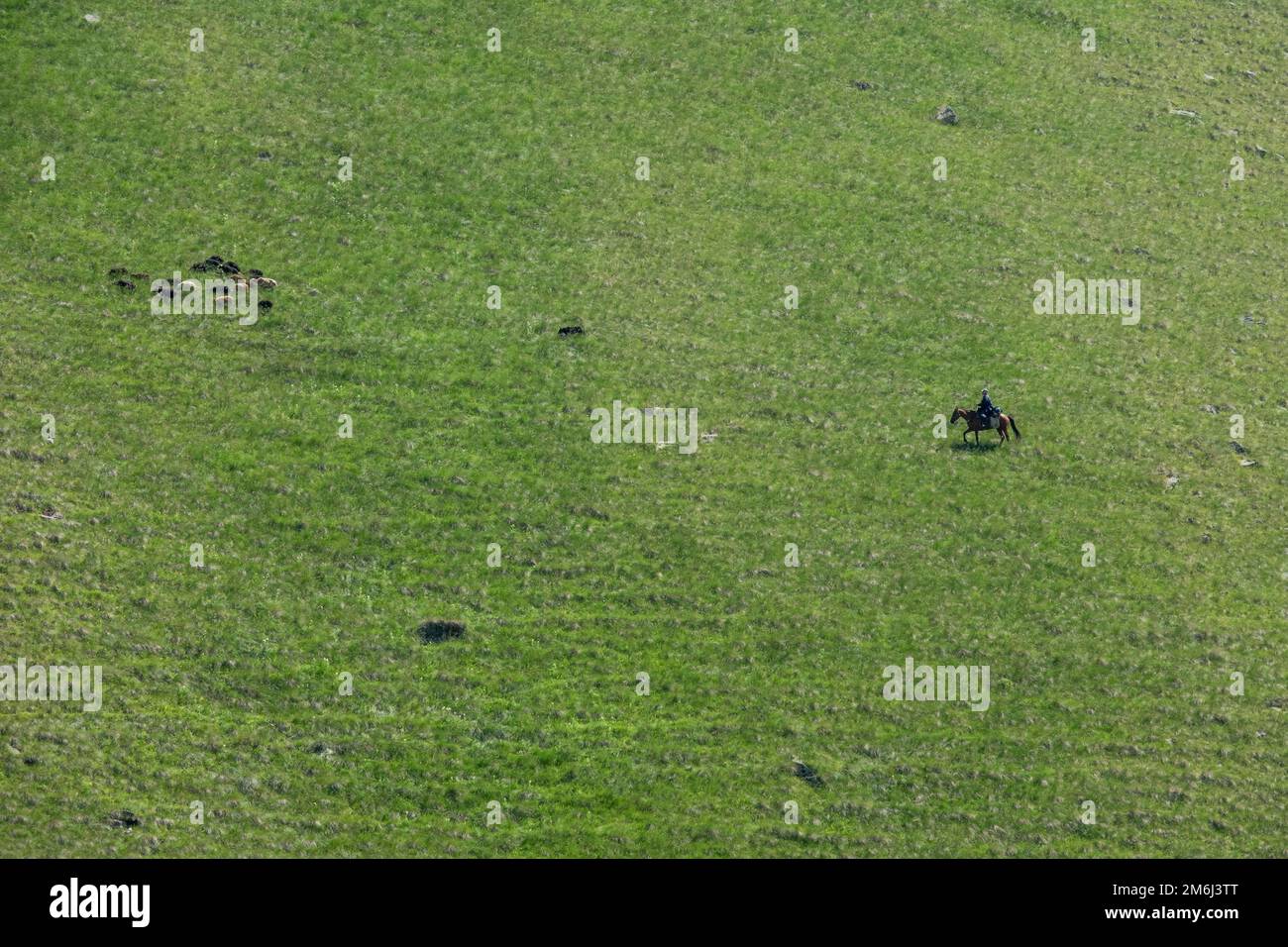Alpine shepherd hi-res stock photography and images - Alamy