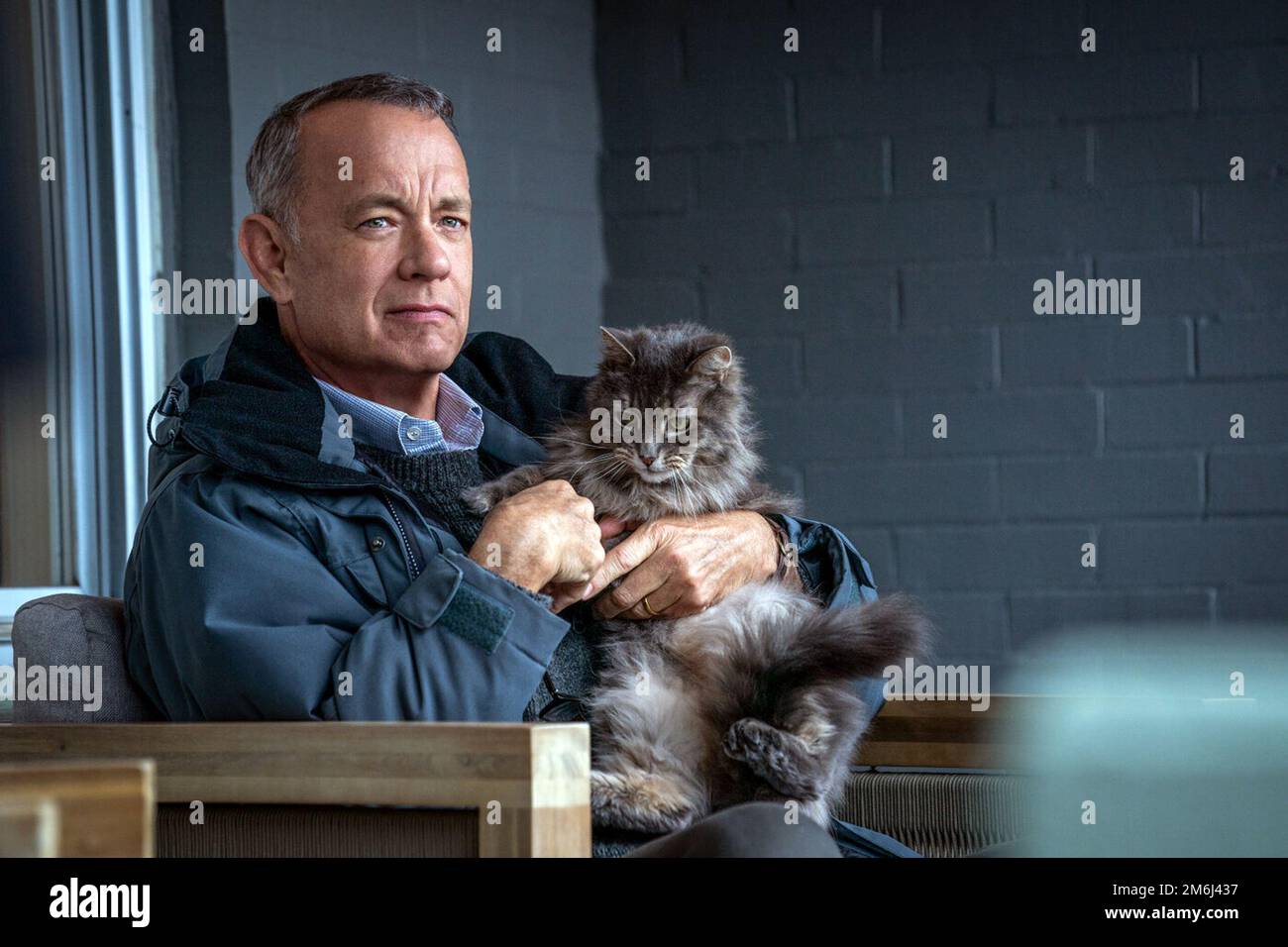 A Man Called Otto is a 2022 comedy-drama film directed by Marc Forster ...