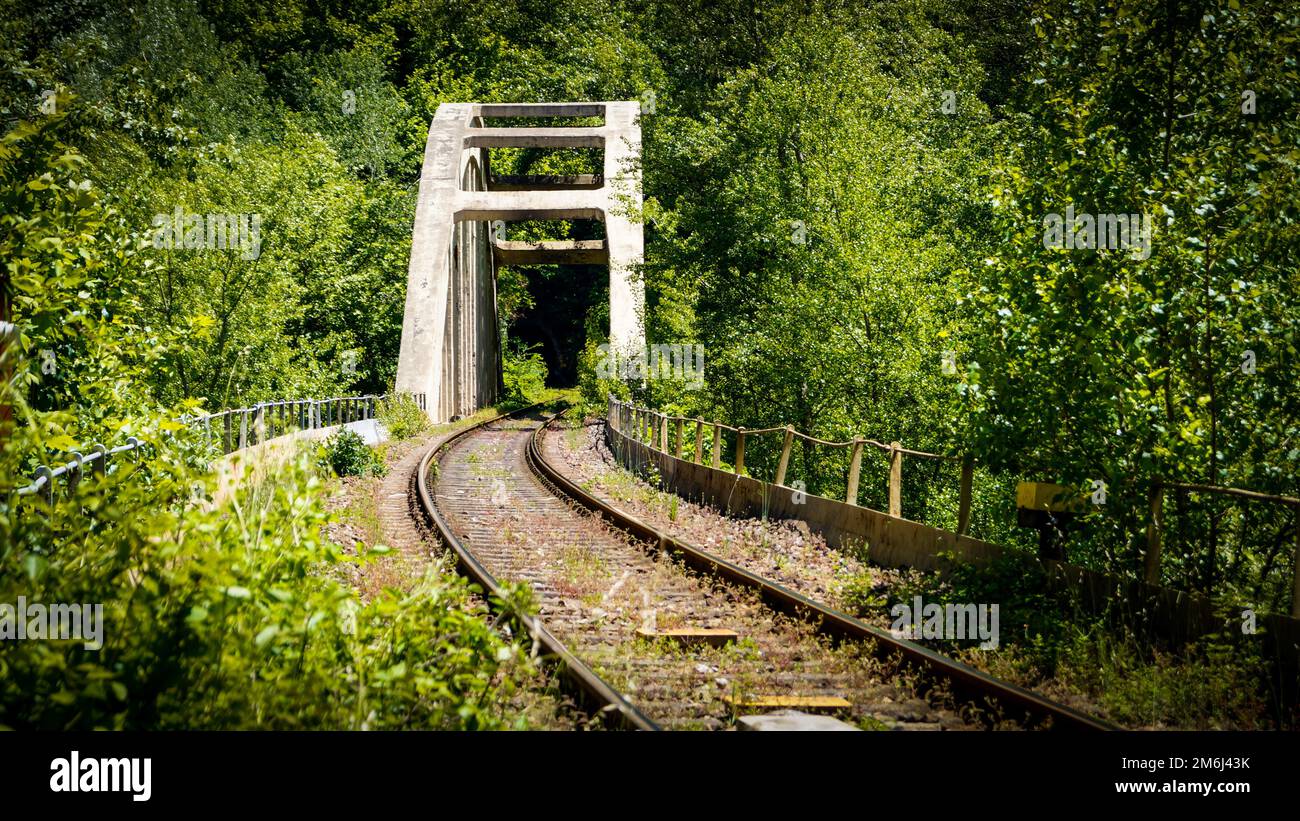 Railroad track between green hi-res stock photography and images - Alamy