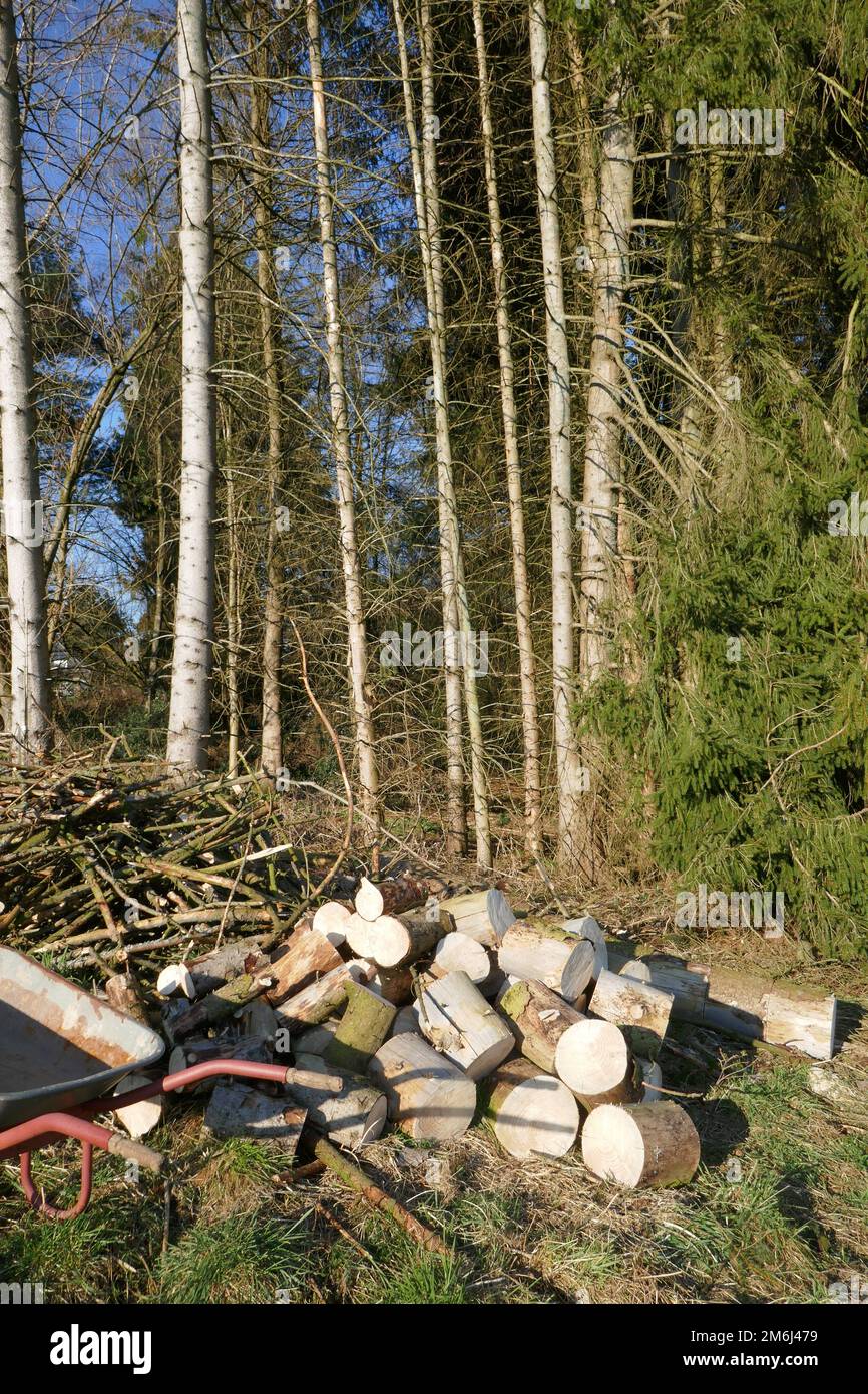 Private forest production hi-res stock photography and images - Alamy