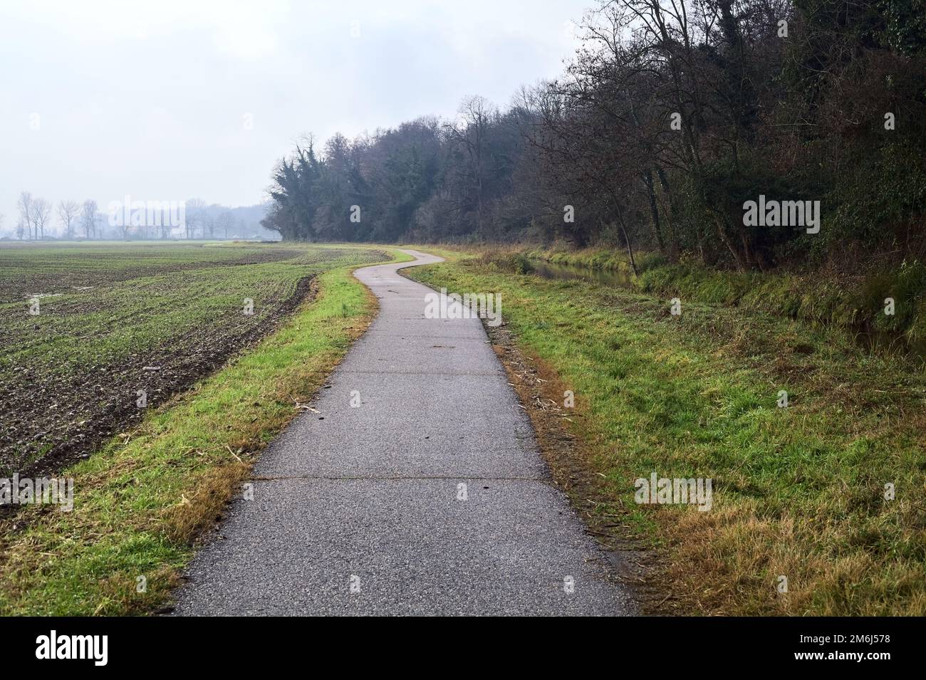 Asphalt trail bordered by a cultivated field and a forest next to a ...