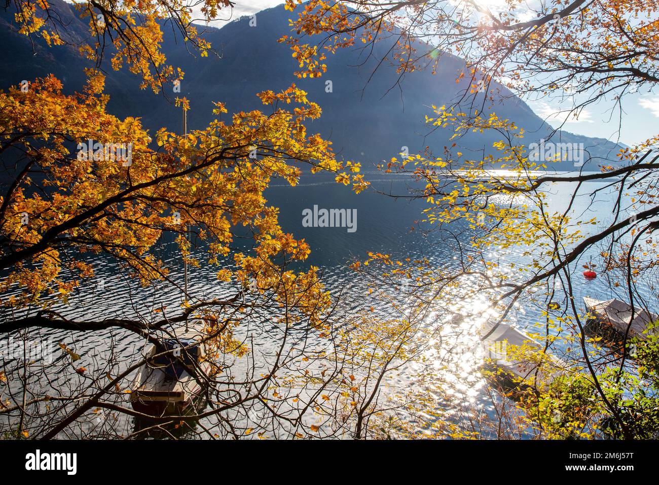 Autumn leaf color in Switzerland (and boats on Swiss lakes). View from ...