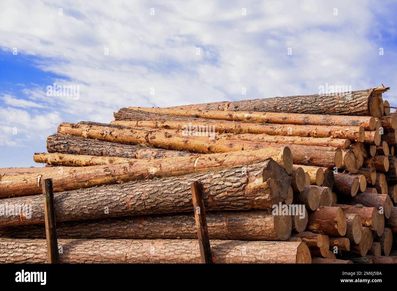 Raw ecology hi-res stock photography and images - Alamy
