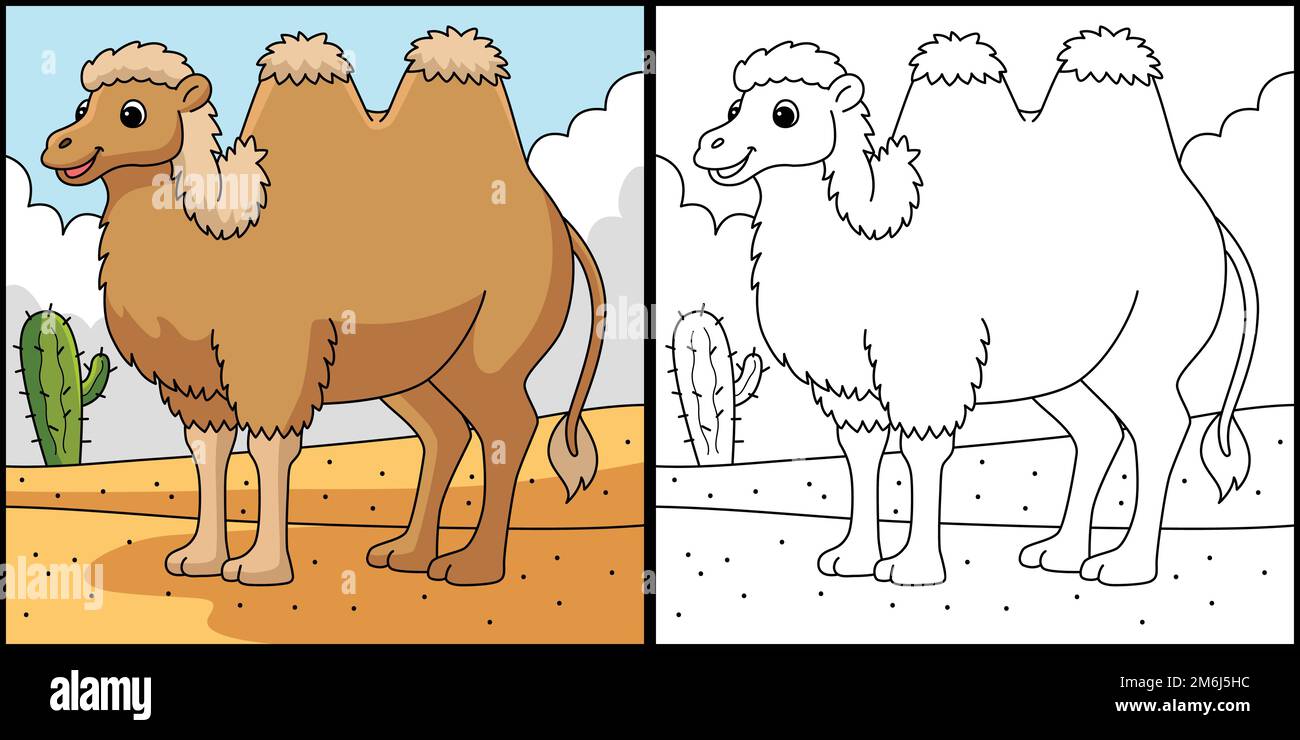 Bactrian Camel Animal Coloring Page Illustration Stock Vector Image ...