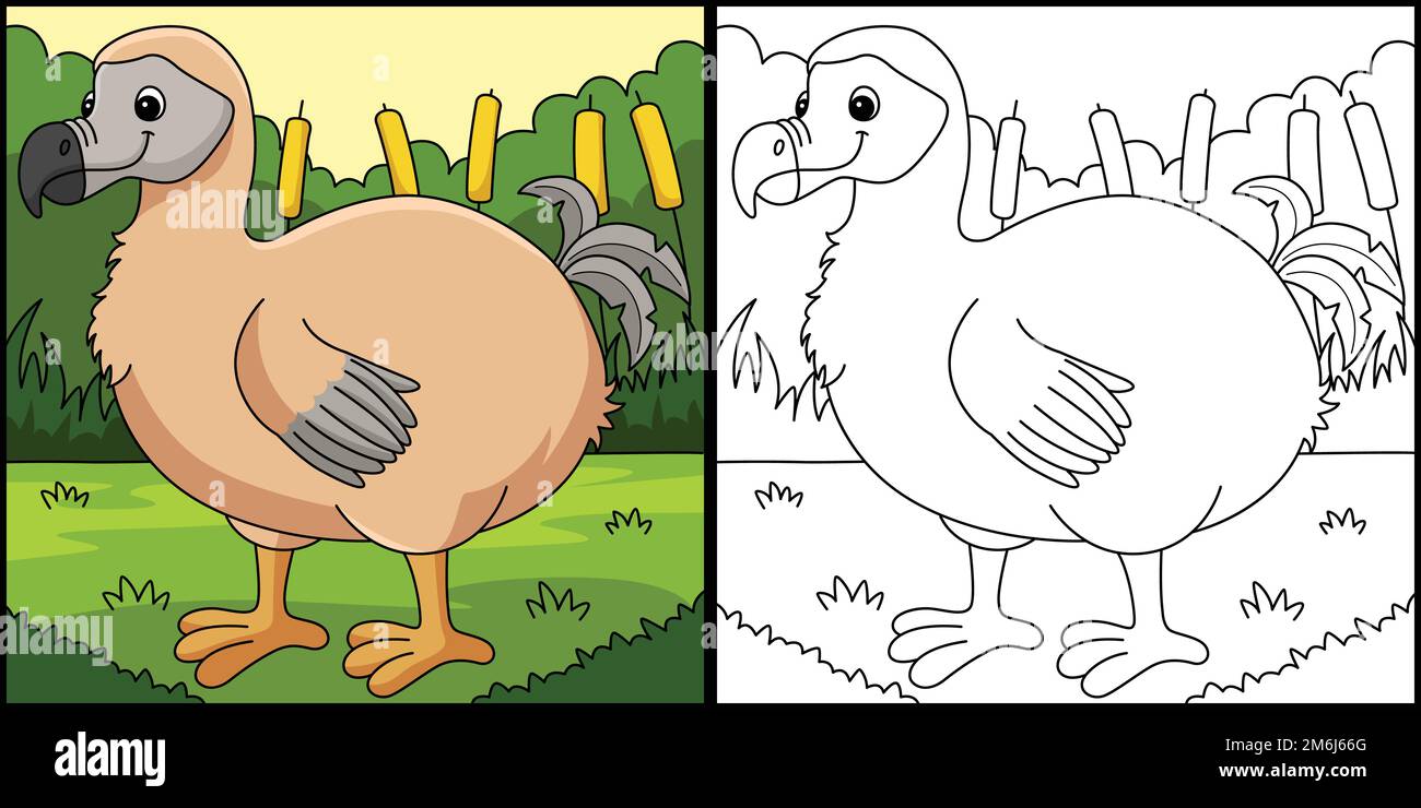 Dodo Animal Coloring Page Colored Illustration Stock Vector Image & Art ...