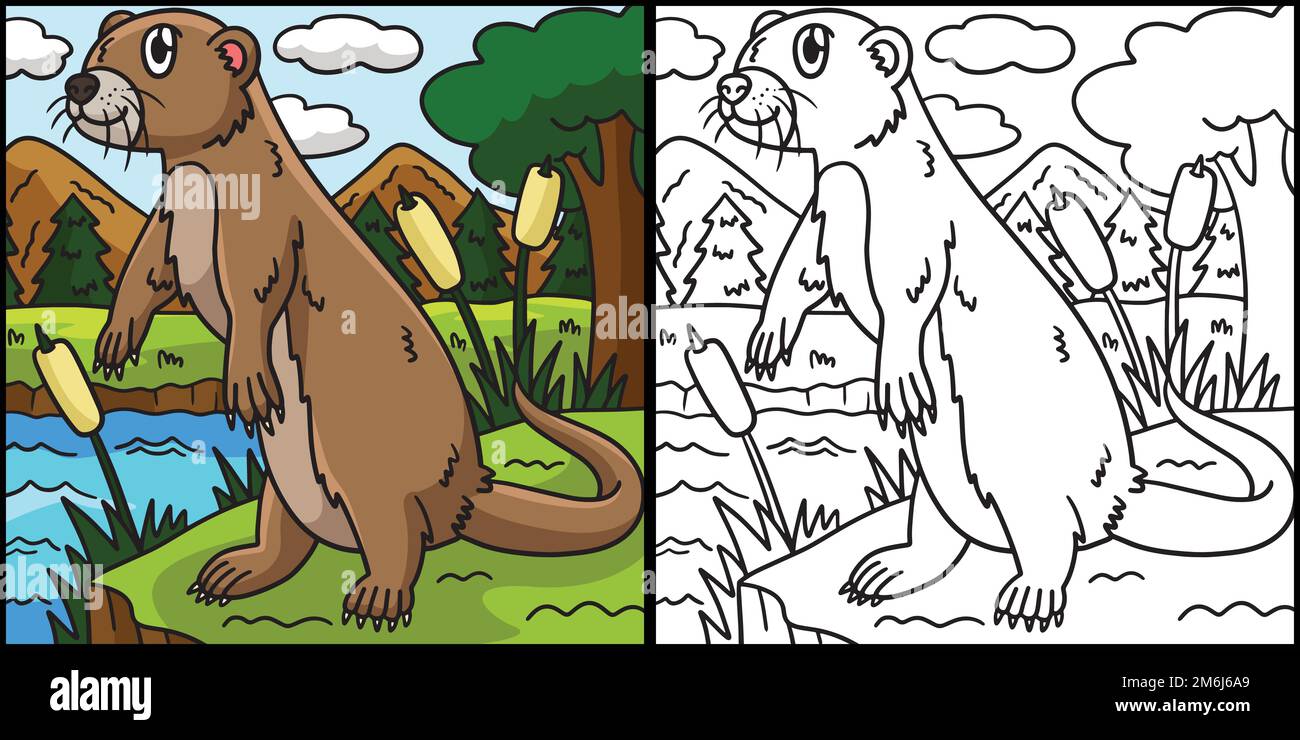 River Otter Coloring Page Colored Illustration Stock Vector Image & Art ...