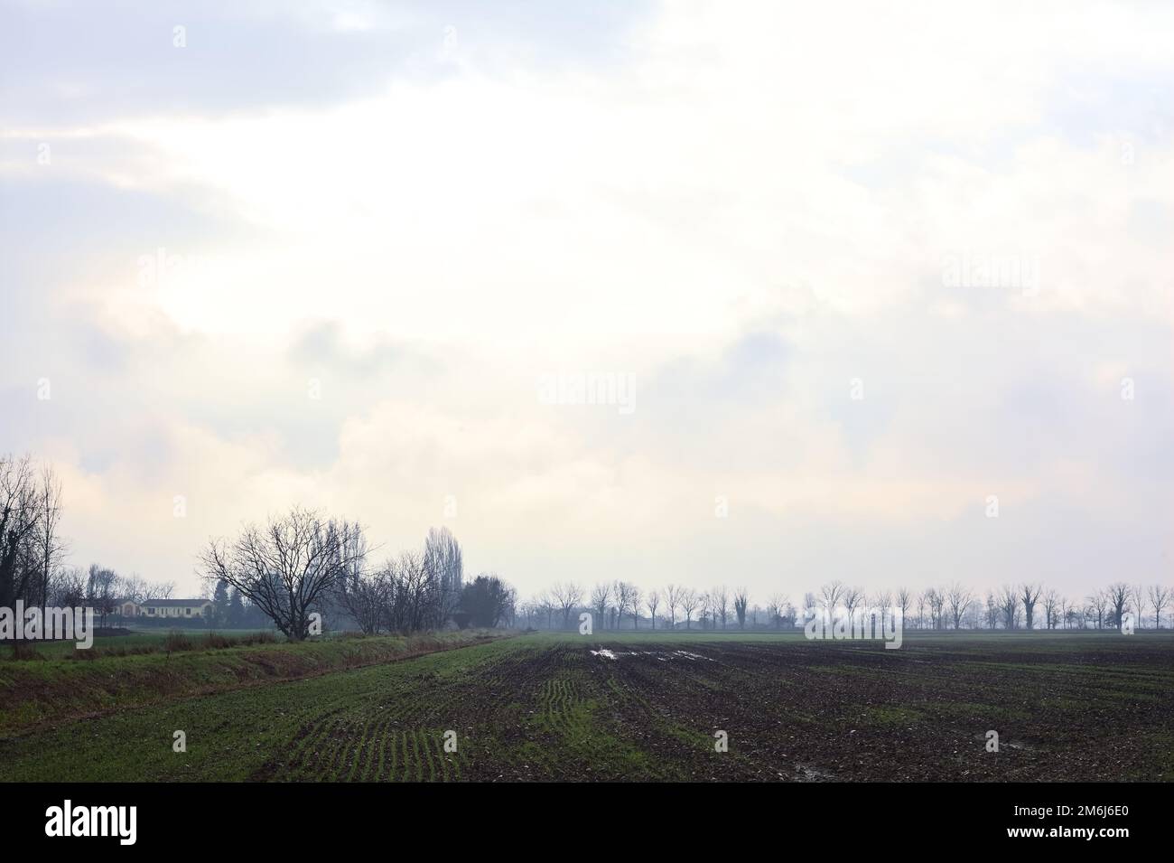 Farmhouse with trees in a cultivated field seen from the distance on a ...