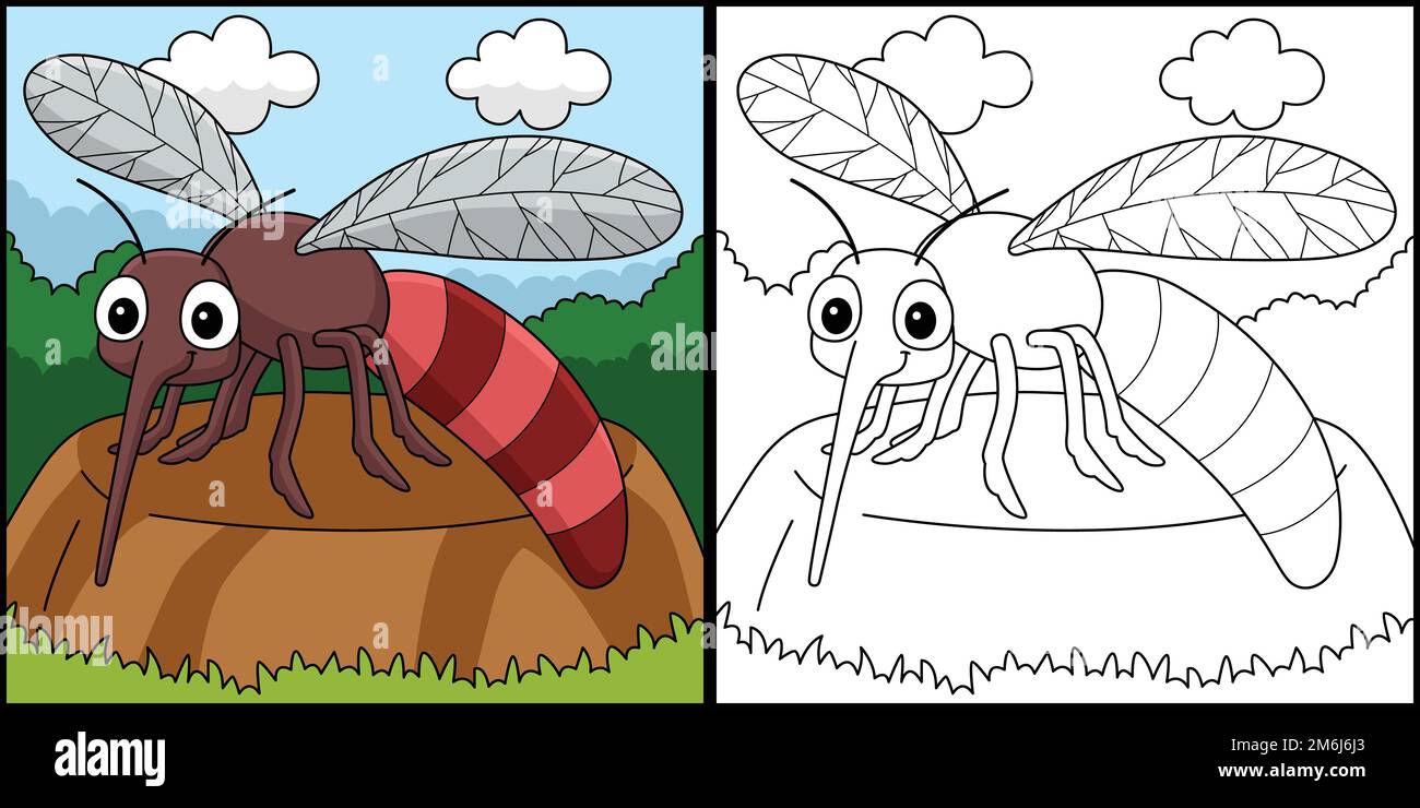 Mosquito Animal Coloring Page Colored Illustration Stock Vector Image ...