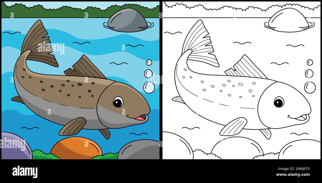 Salmon Animal Coloring Page Colored Illustration Stock Vector Image ...