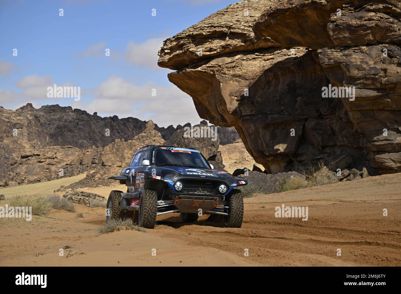 203 PRZYGONSKI Jakub (pol), MONLEON Armand (spa), X-Raid Mini JCW Team ...