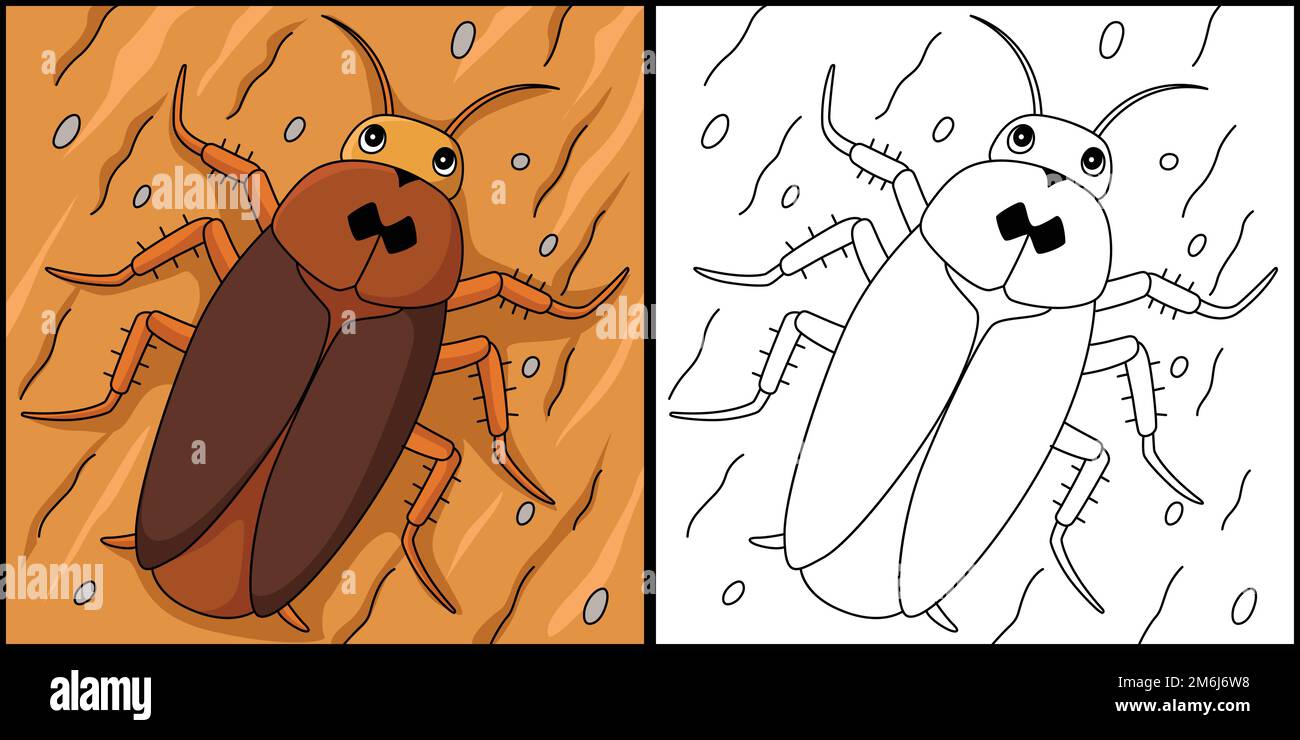 Cockroach Animal Coloring Page Illustration Stock Vector Image & Art ...