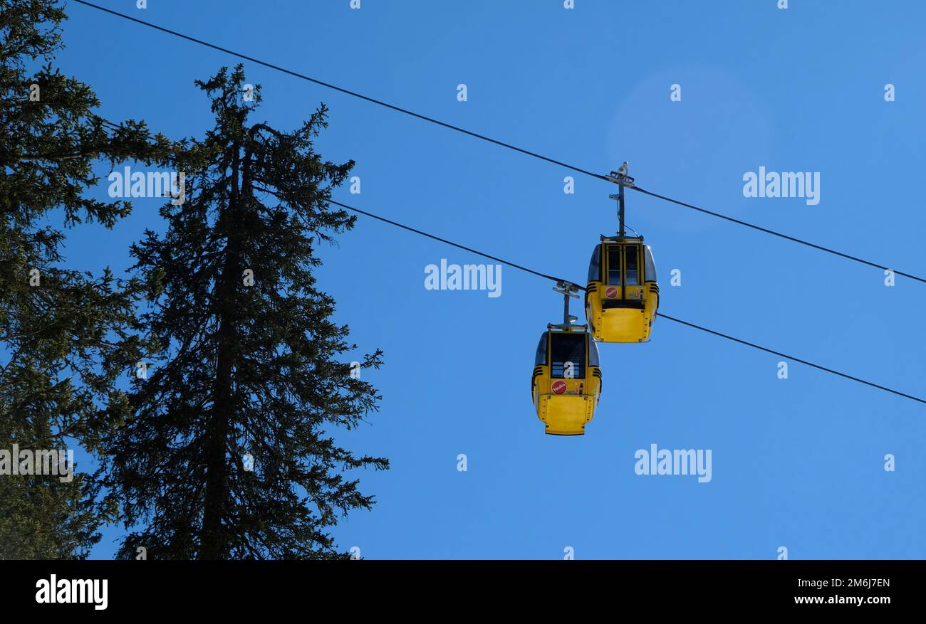 Cartoon snow trees hi-res stock photography and images - Alamy