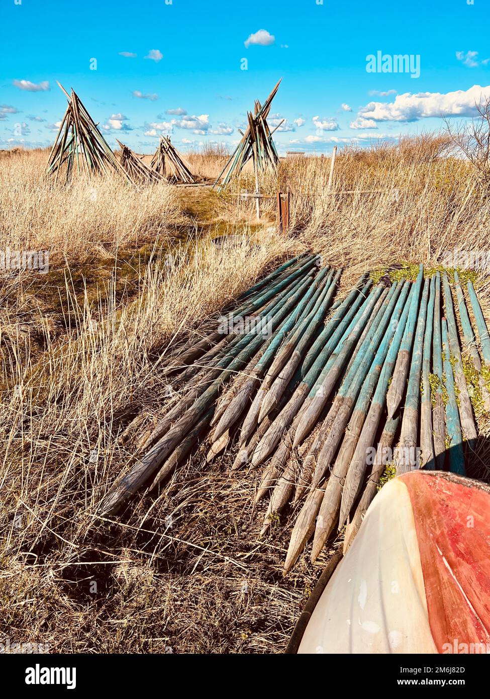 Stakes for gillnet fishing at a danish fjord Stock Photo - Alamy