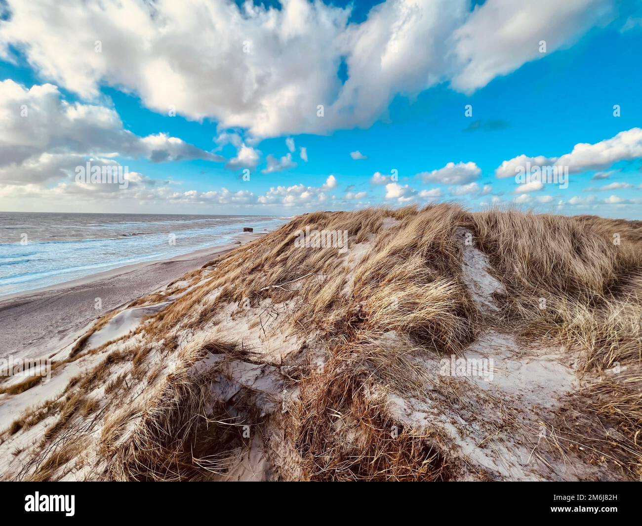 View from a sand dune to the adjacent beach and the sea Stock Photo - Alamy