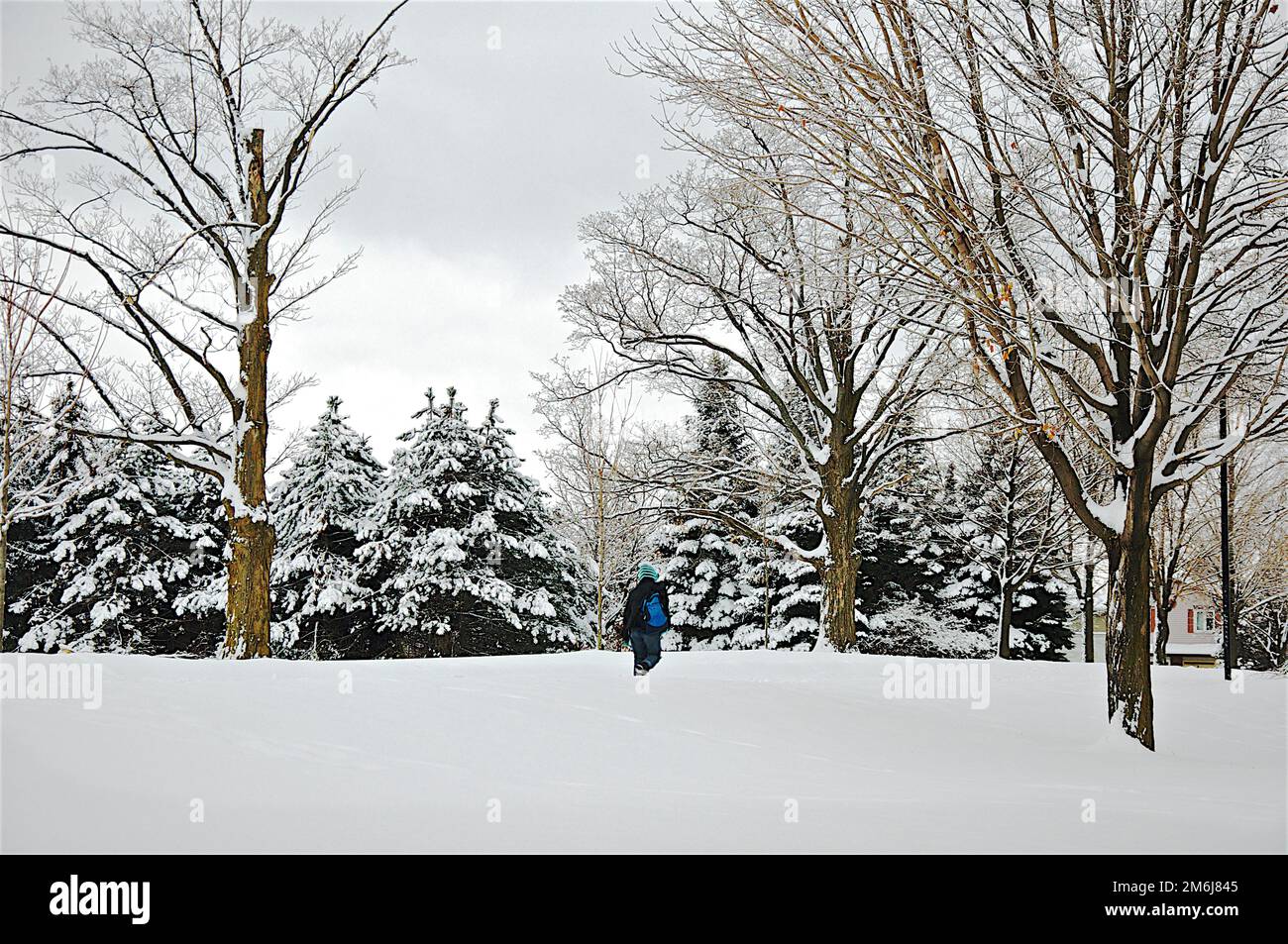 A man was walking in winter with deep snow, a healthy lifestyle Stock ...