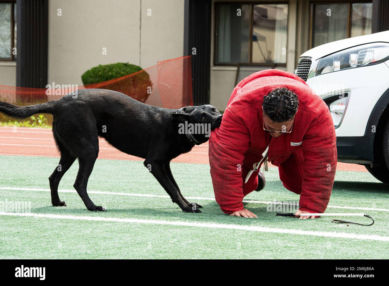 Staff Sgt. Jorge Quintanal, 51st Security Forces Squadron Military ...